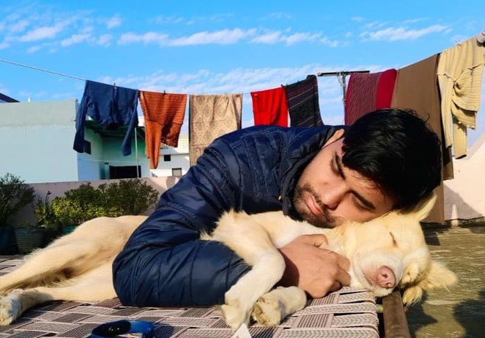 The best cuddle partner ever - 9GAG