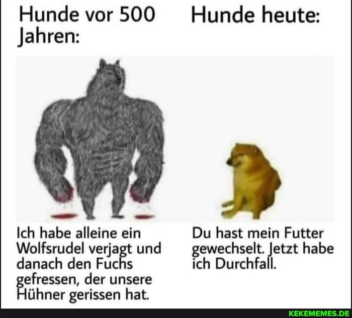 Wuff Wuff - 9GAG