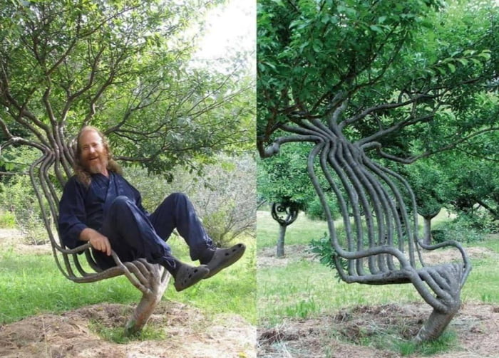 This artist spent eight years to create this tree-chair using methods ...