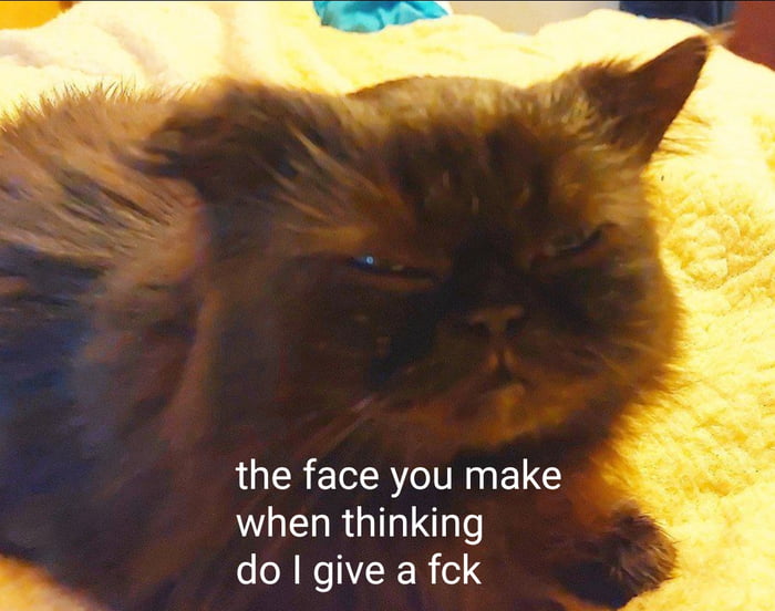 Read the damn picture! - 9GAG