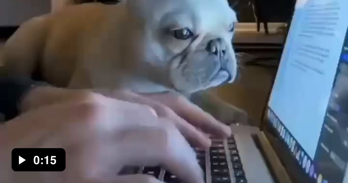 Forget autocorrection, embrace dog-correction - 9GAG