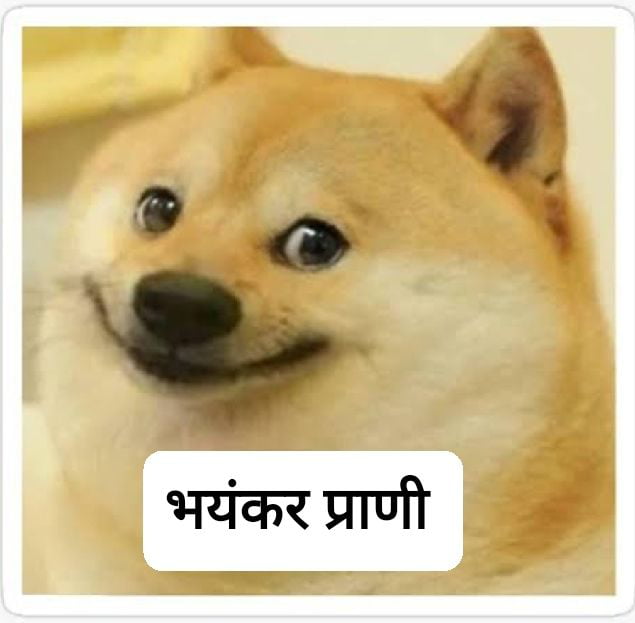 Introducing Dogesh friend Don't go on looks,,,,,, - 9GAG