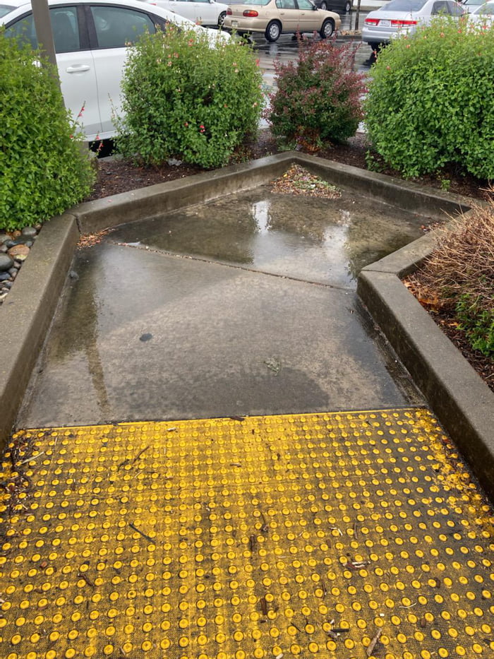 Here let me guide you to this puddle... - 9GAG