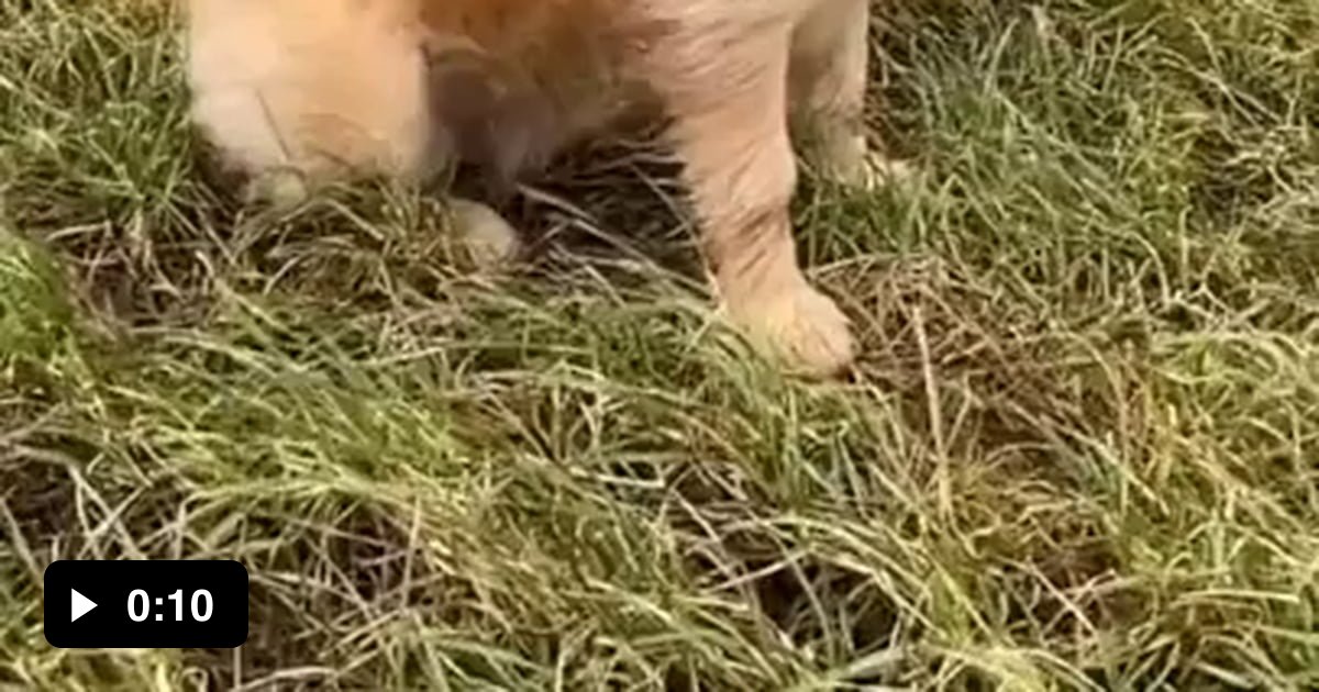 It's a little bit windy friends and Hi - 9GAG