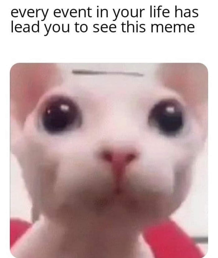 Pretty cool huh - 9GAG