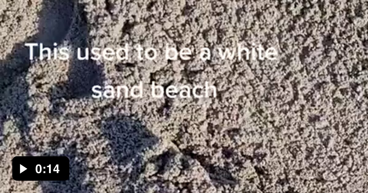 Underwater volcanic eruption covers whitesand beach with pumice - Okuma ...