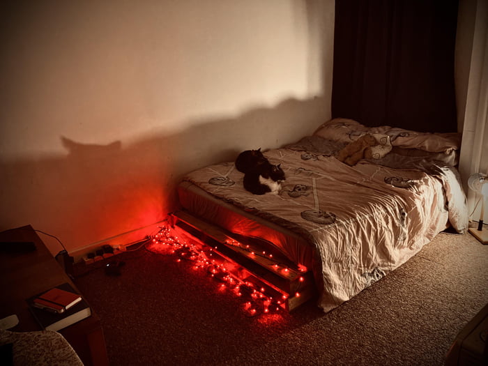 Cozy bedroom space - 9GAG