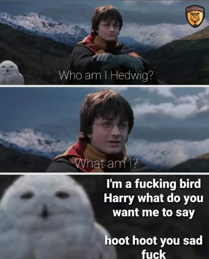 Hoot hoot - 9GAG