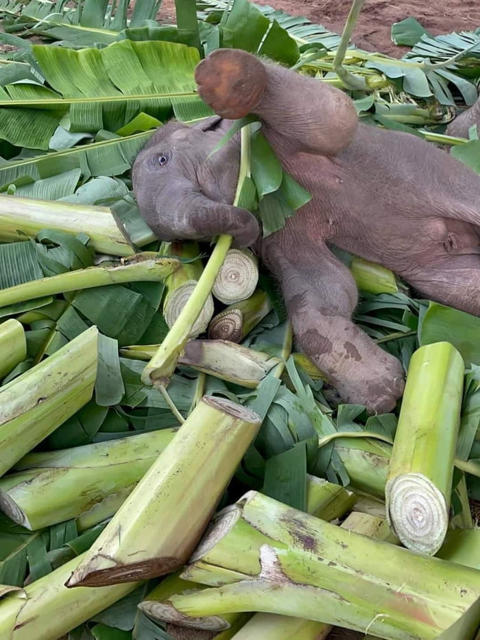 Me with 2 big macs - 9GAG