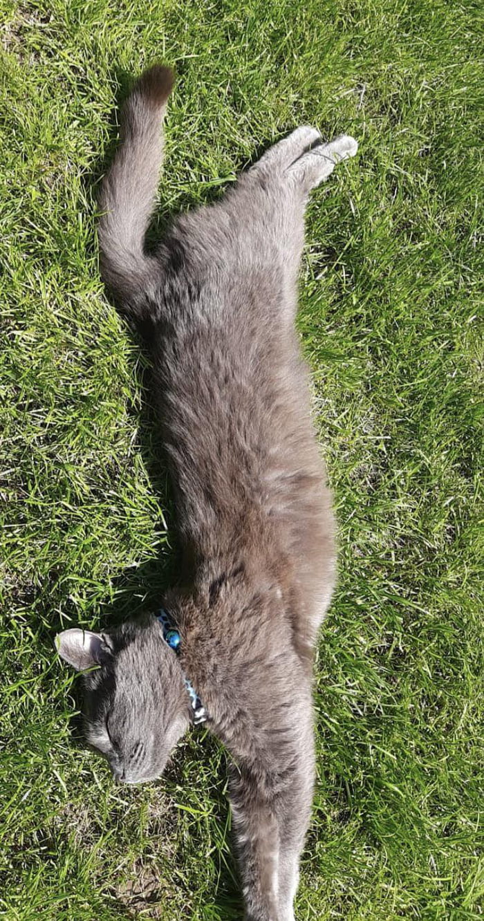 Fully stretched 🥹😼 - 9GAG