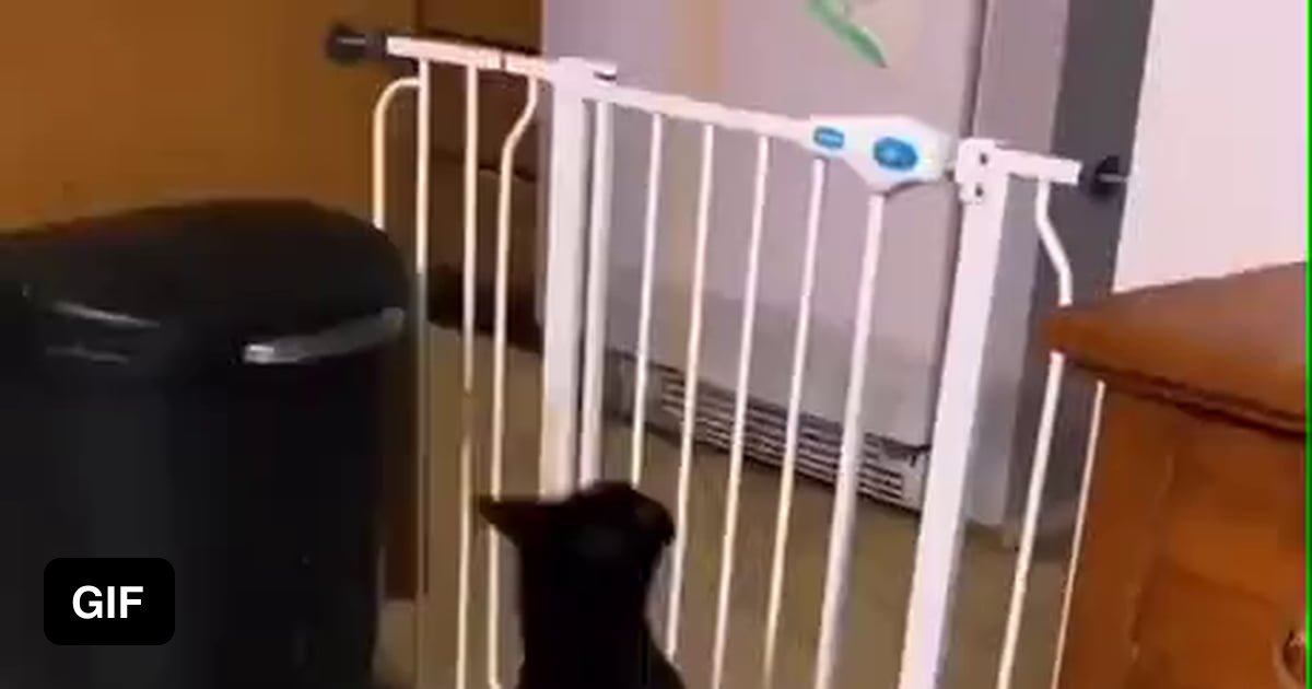 Speed runner trying to clip through wall - 9GAG