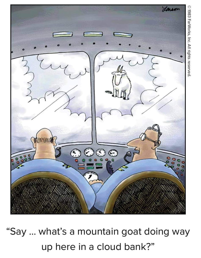 Cloud Goat - 9GAG