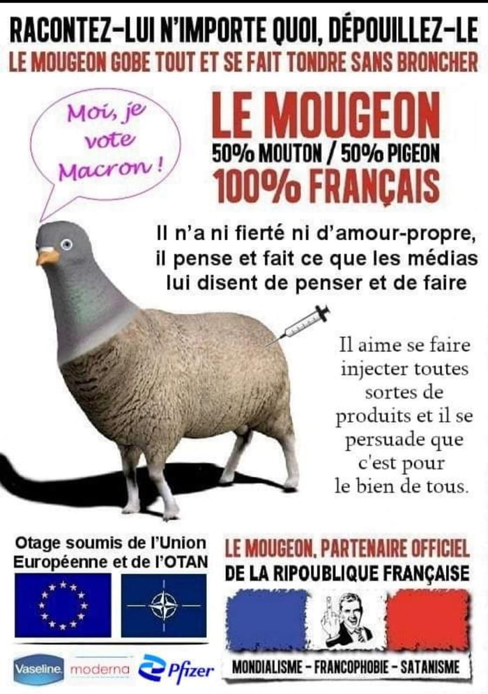 Nos mougeons ont du talent - 9GAG