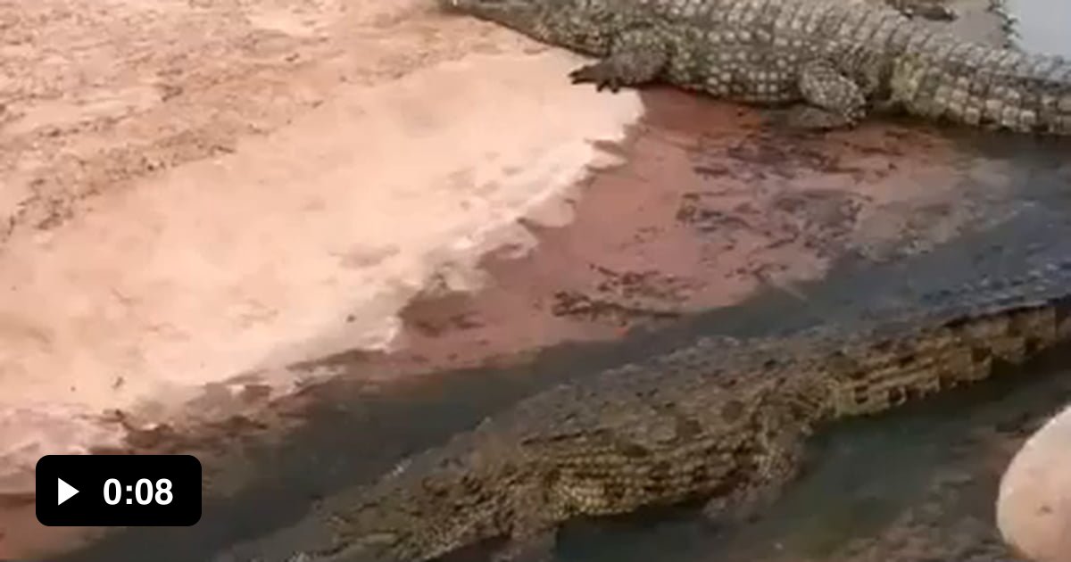 WHEEEEEE!!!!!! - 9GAG