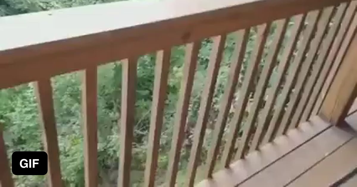 Nope..nope..nope... - 9GAG