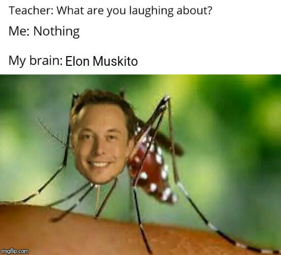 Elon Muskito - 9GAG
