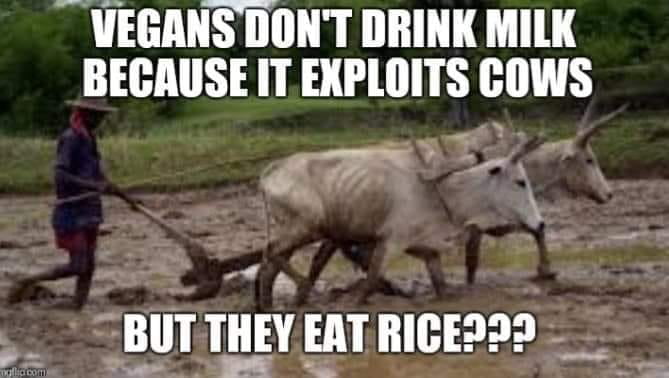 Did you try putting it in rice? - 9GAG