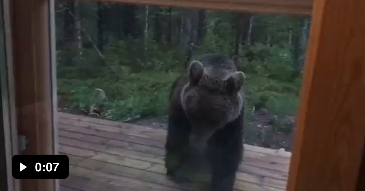 Poor bear had a heart attack - 9GAG