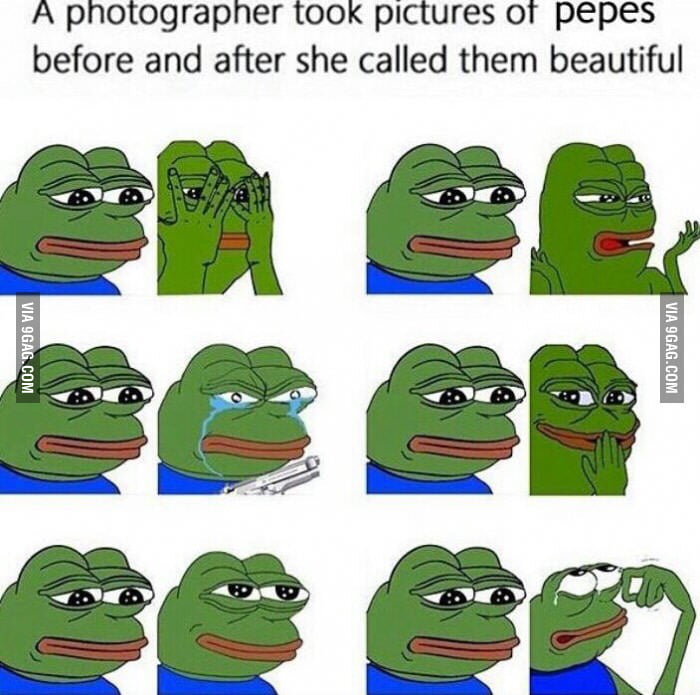 Don't shame a pepe - 9GAG