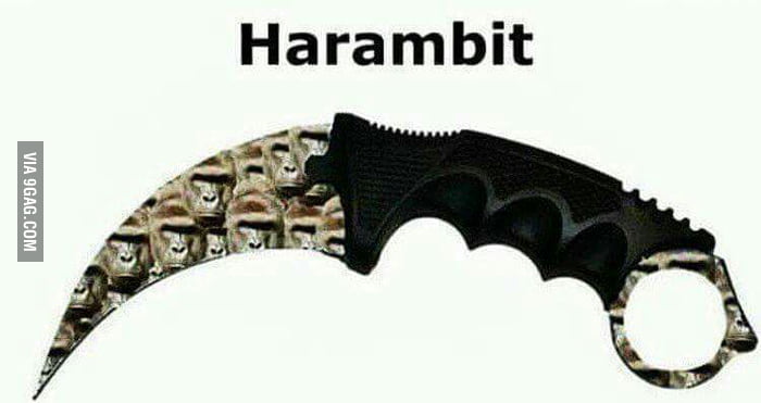 GabeN has released a new knife - 9GAG