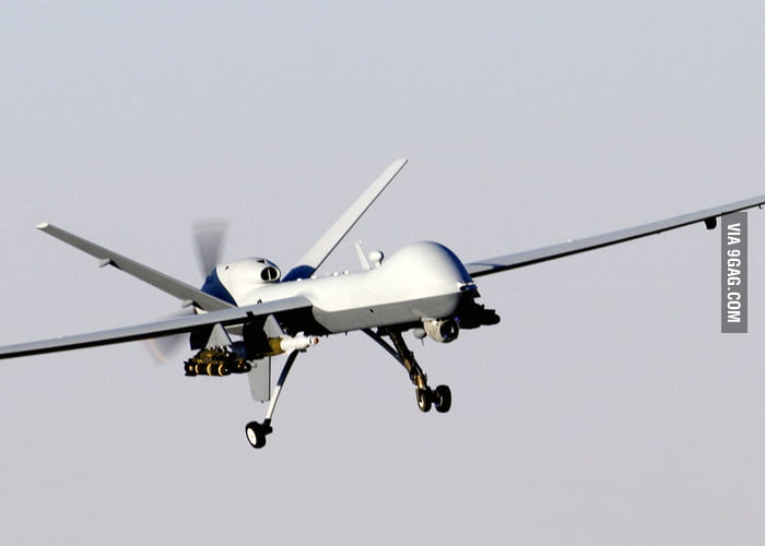 Syria's national bird - 9GAG