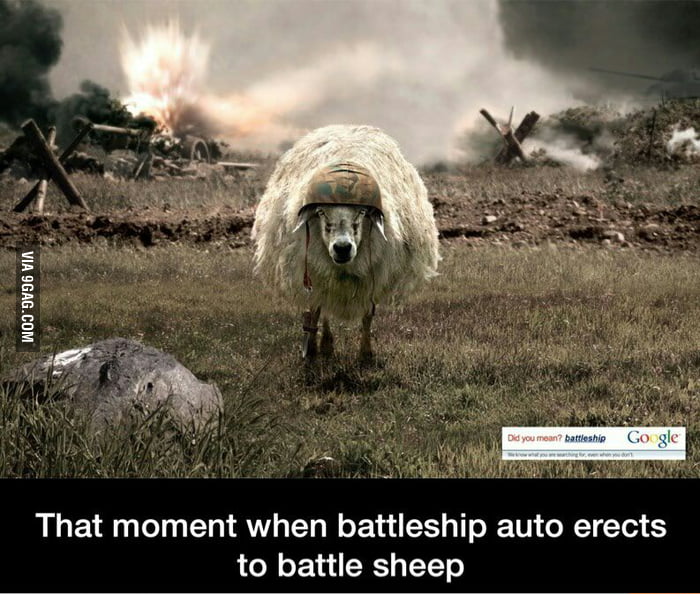 Battle sheep - 9GAG