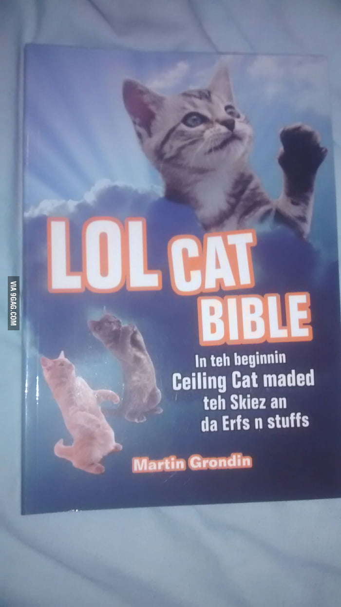 Do you have time to talk about our lord, ceiling cat? - 9GAG