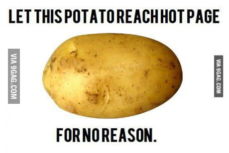 Potato (NSFW) - 9GAG