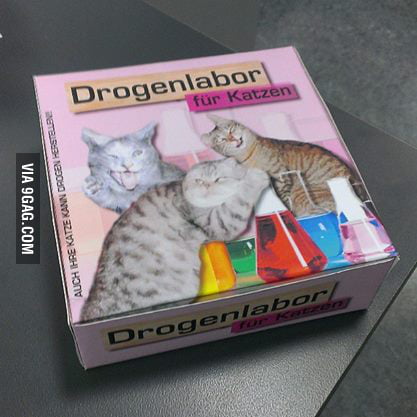 A drug laboratory for cats - 9GAG