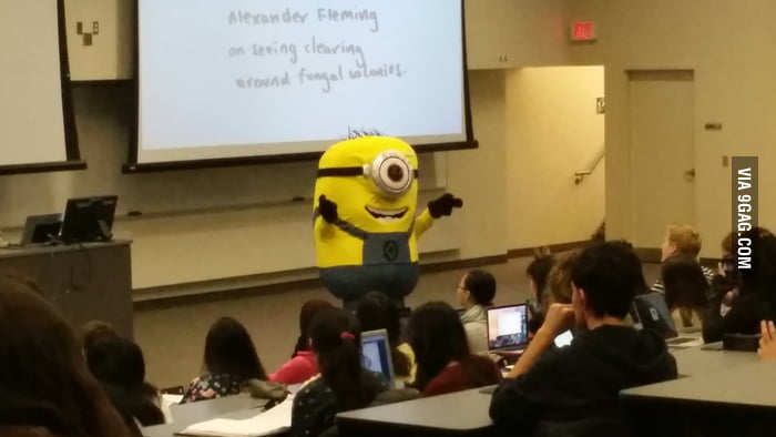 My professor dressed up as a minion today. 50 minutes in the costume ...