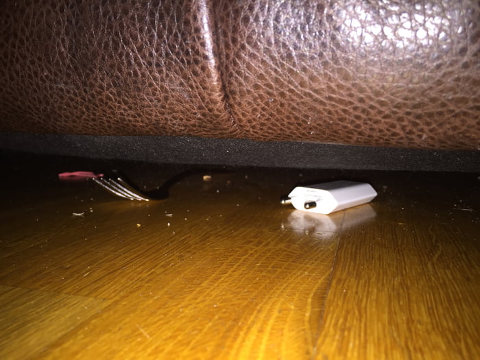 Normal things you see under a sofa in my house, I swear I didnt place ...