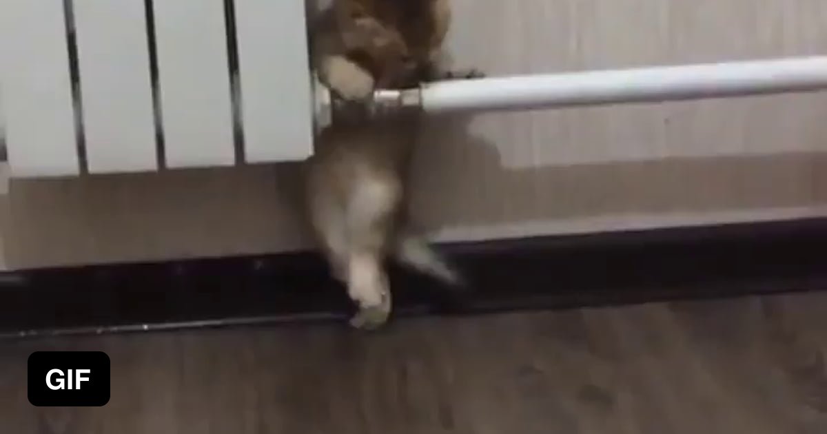 Hanging on for dear life - 9GAG