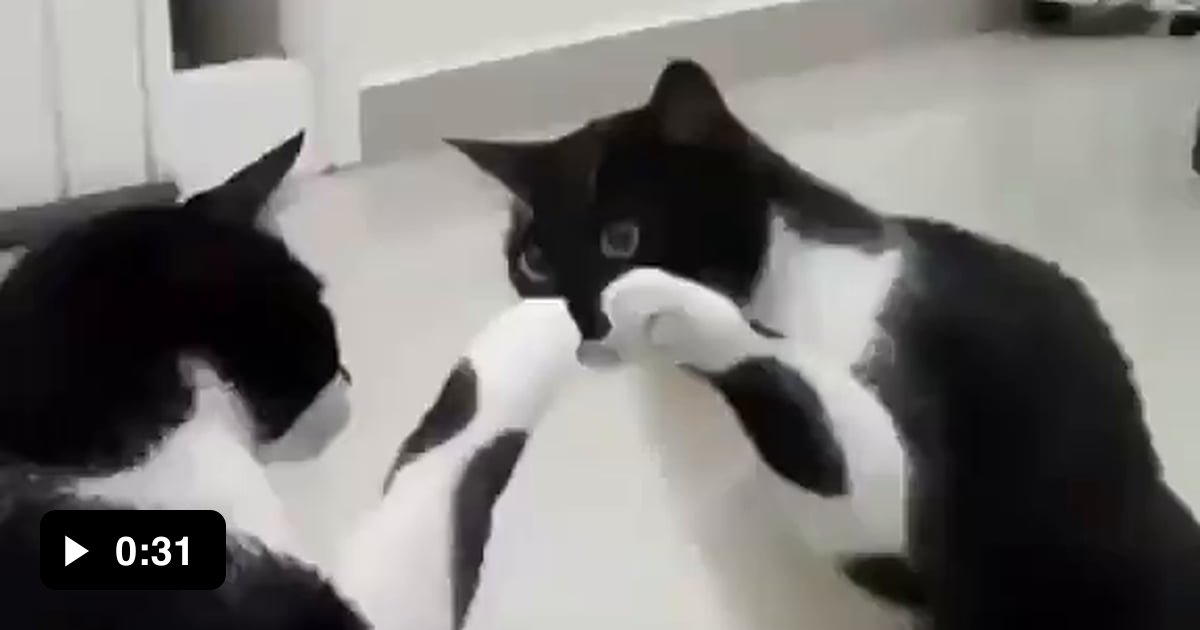 When existential crisis hits - 9GAG