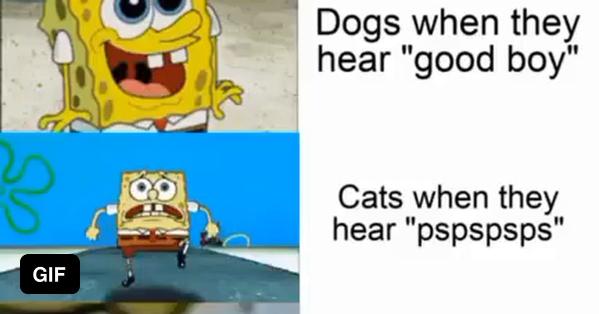 They are not real - 9GAG