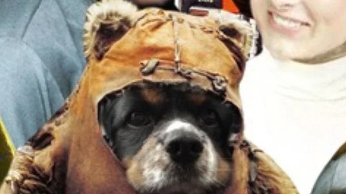 Ewok king charles - 9GAG