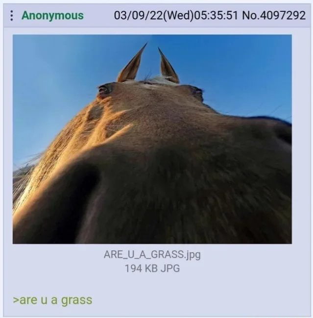 Horses eat grass - 9GAG