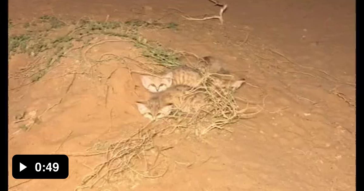 Second attempt - 9GAG