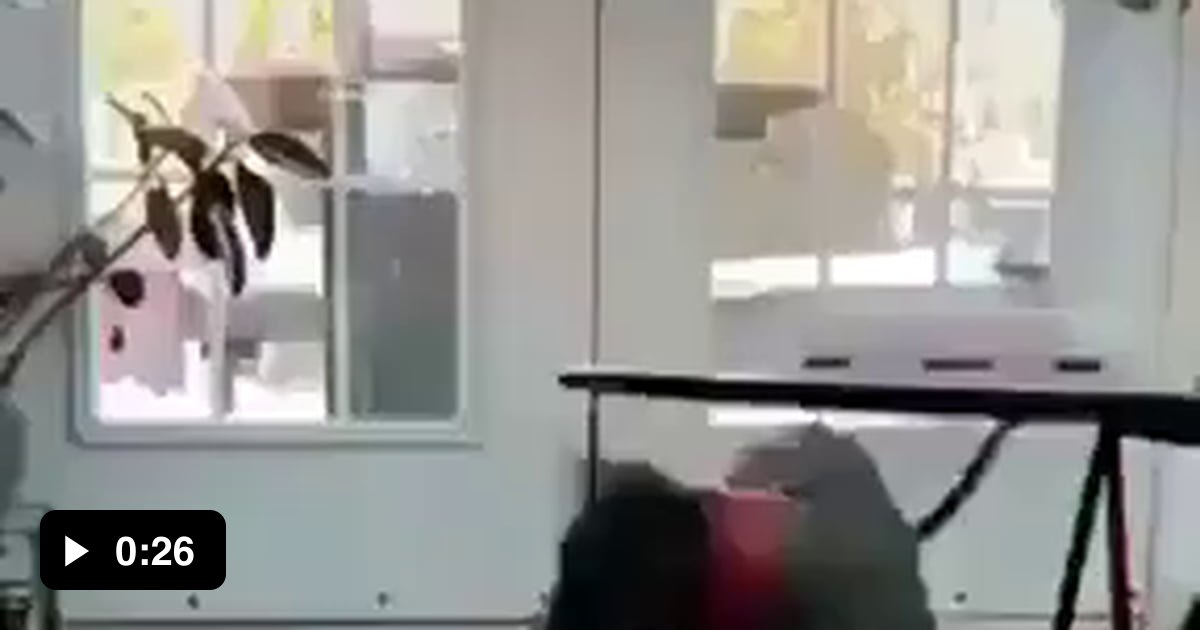 So much giggle tippy tap dance with his fav toy - 9GAG