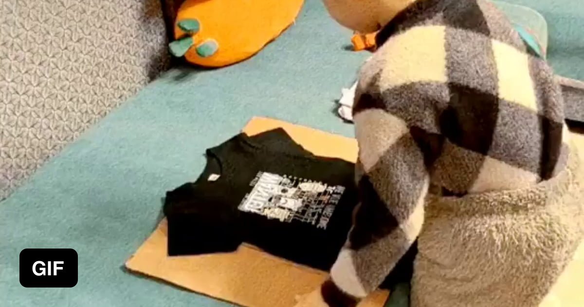 Orderly little guy - 9GAG