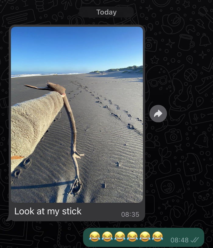 Yesterday I showed to my wife the “rate my stick” posts and today she ...