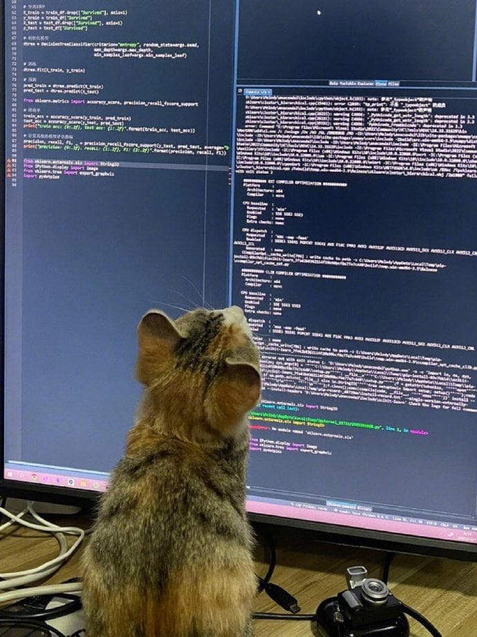 A cat obsessed with code 😂 - 9GAG