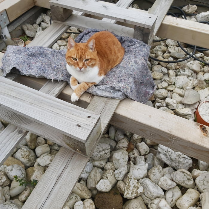 Construction supervision - 9GAG