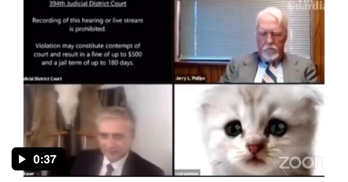 When a lawyer says in court "I'm not a cat".... You can see his ...