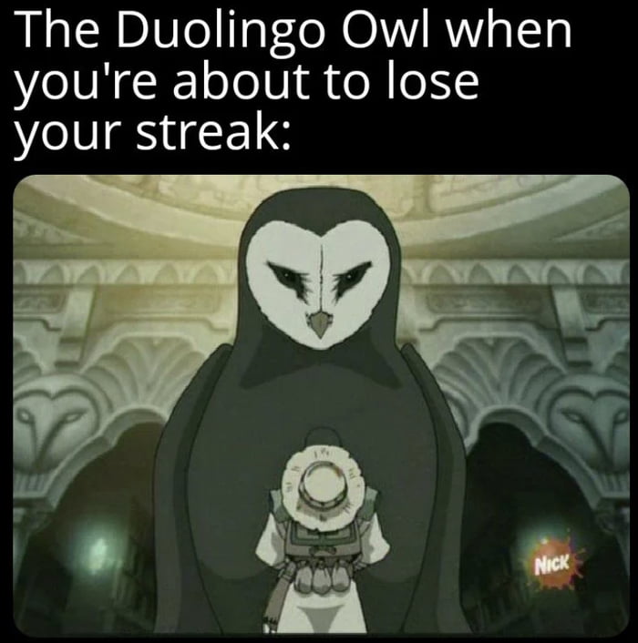 Death by duolingo owl - 9GAG