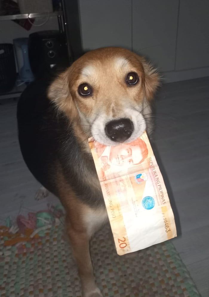 Paying his rent...which he got from my wallet. - 9GAG