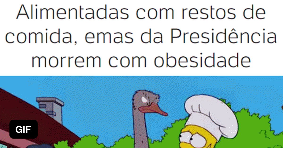 Mais uma palhaçada do Bundão Cheirador de Bunda - 9GAG