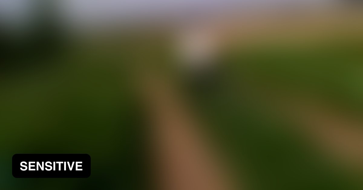 Man throws rock with copper wire wrapped around it at power lines - 9GAG