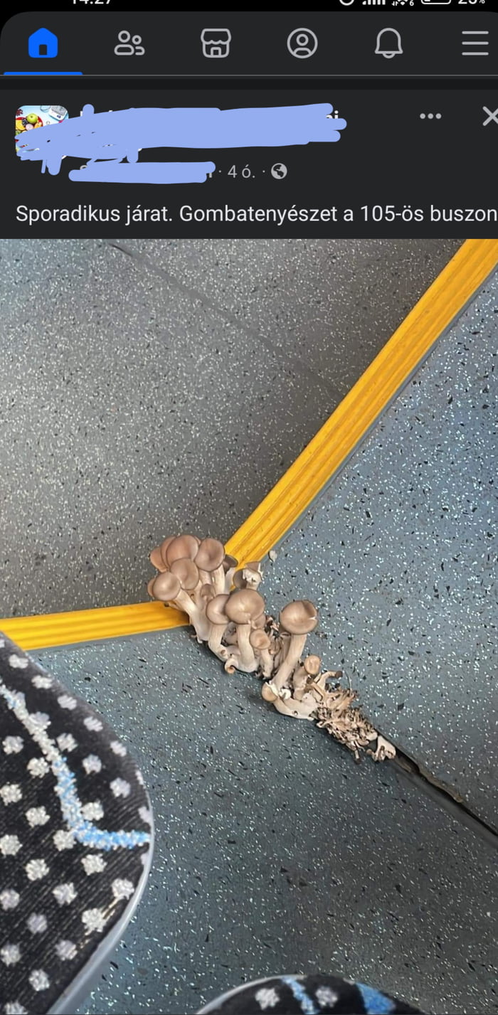 Hungary right now, Bus lane - 9GAG