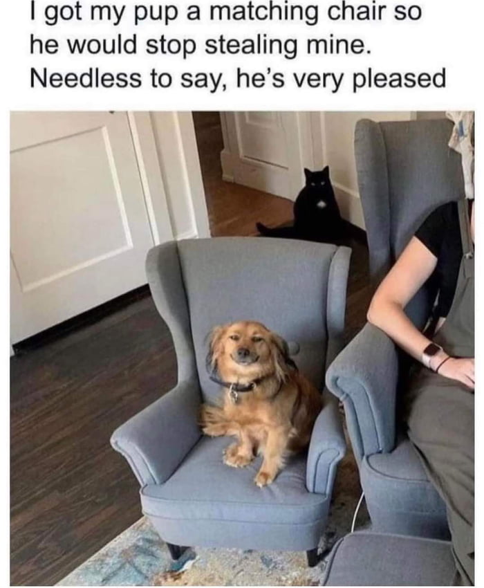 Not mine but aww - 9GAG