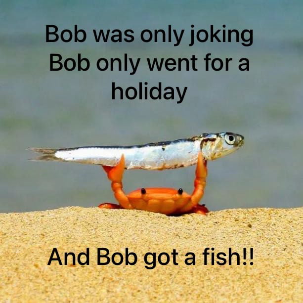 Bob will be back! - 9GAG